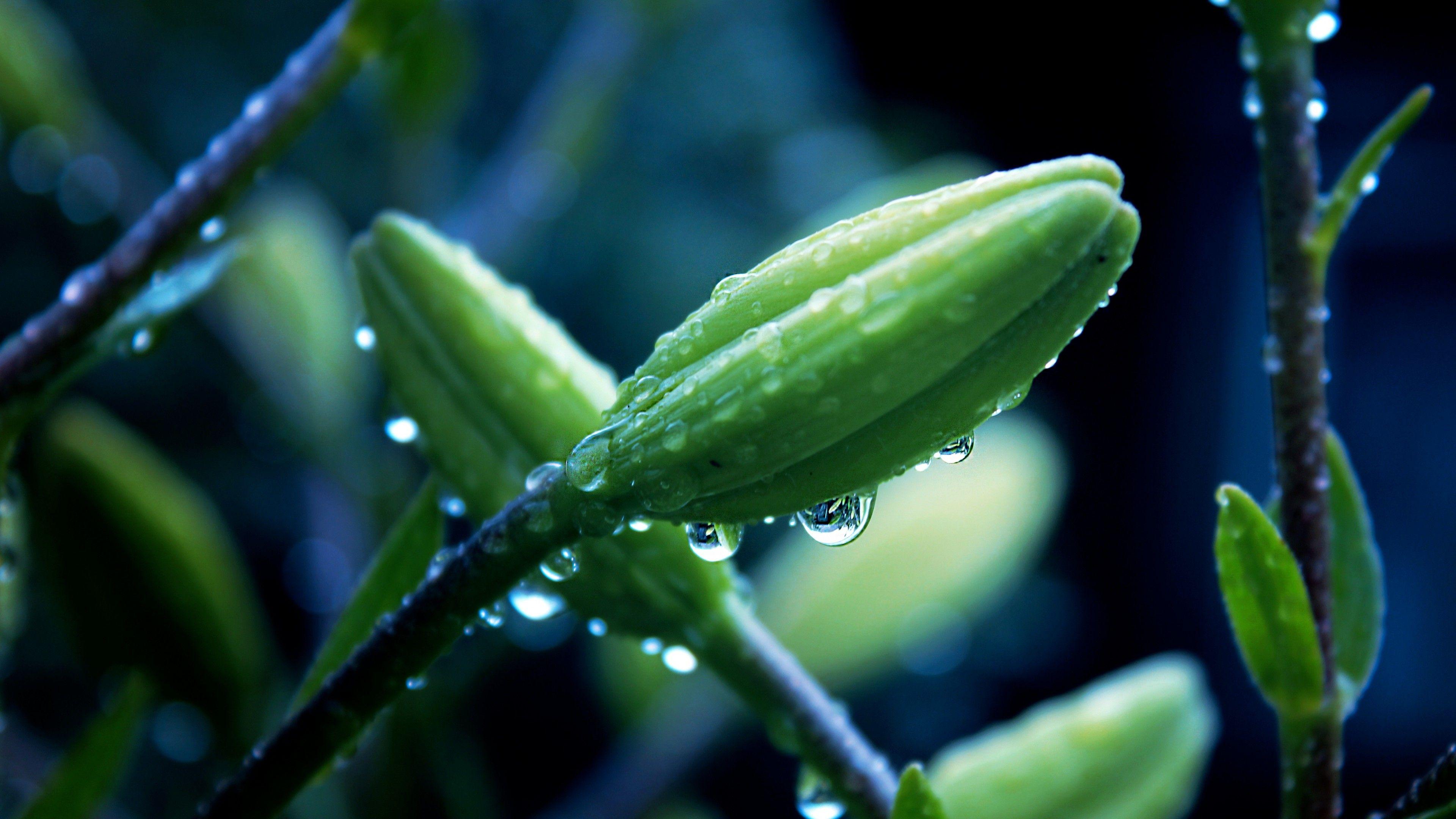 A 4K Ulta HD Wallpapers - Top Free A 4K Ulta HD Backgrounds ...