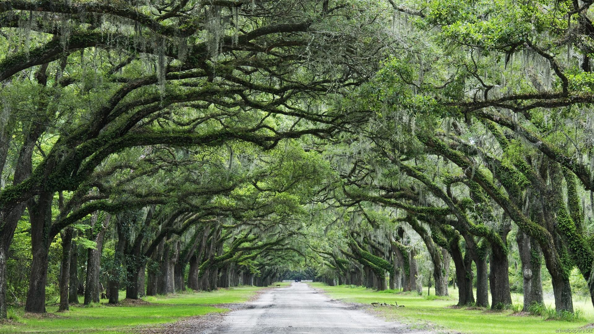 Savannah GA Wallpapers - Top Free Savannah GA Backgrounds - WallpaperAccess