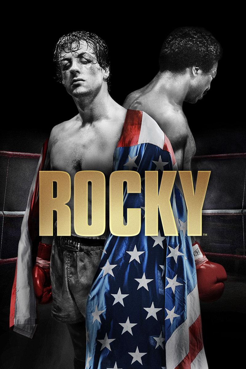 Rocky 1 Wallpapers - Top Free Rocky 1 Backgrounds - WallpaperAccess