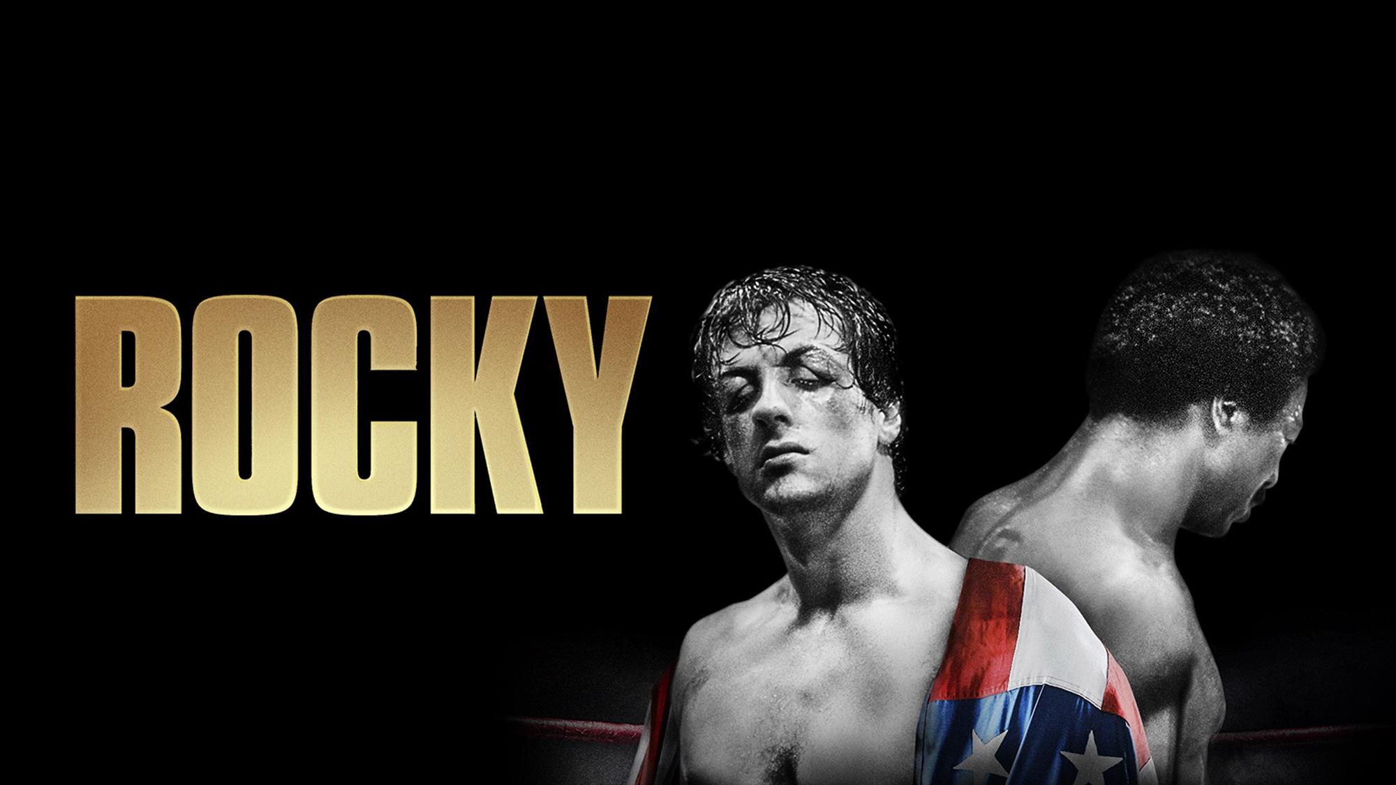 Rocky 1 Wallpapers - Top Free Rocky 1 Backgrounds - WallpaperAccess