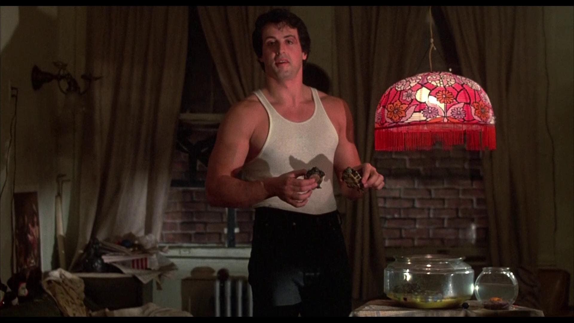 Rocky 1 Wallpapers - Top Free Rocky 1 Backgrounds - WallpaperAccess