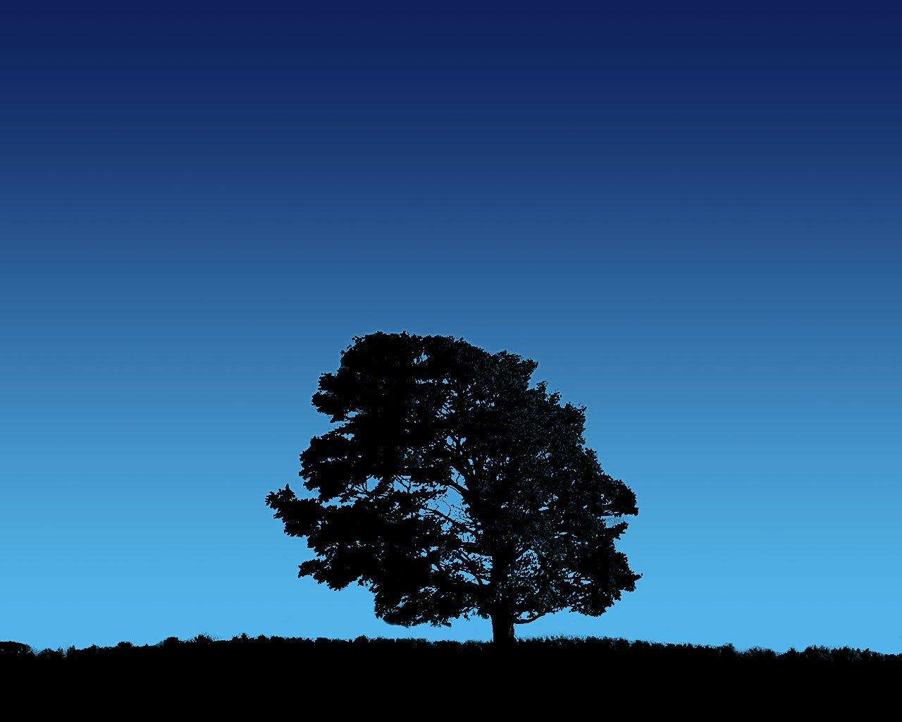 Tree and Sky Wallpapers - Top Free Tree and Sky Backgrounds ...