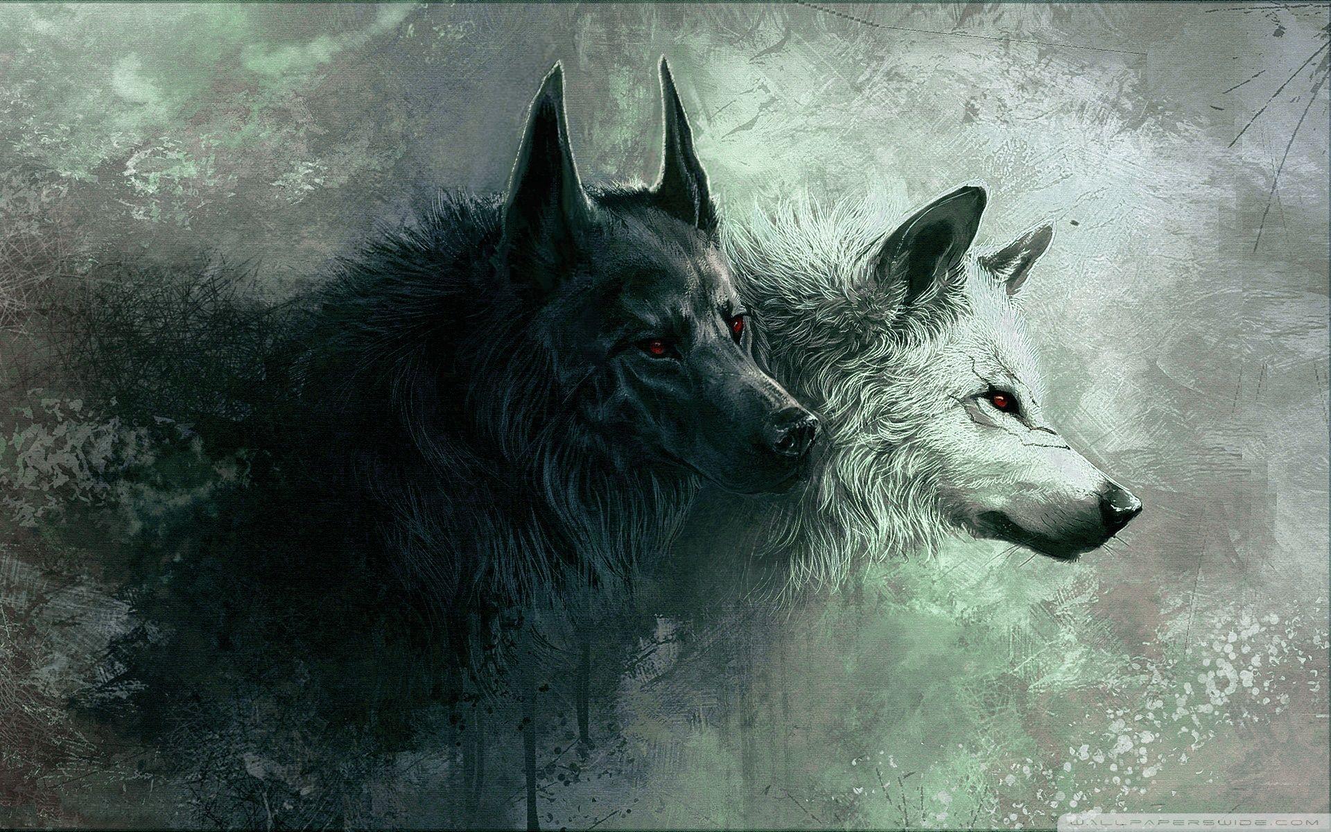 8K Wolf Wallpapers - Top Free 8K Wolf Backgrounds - WallpaperAccess
