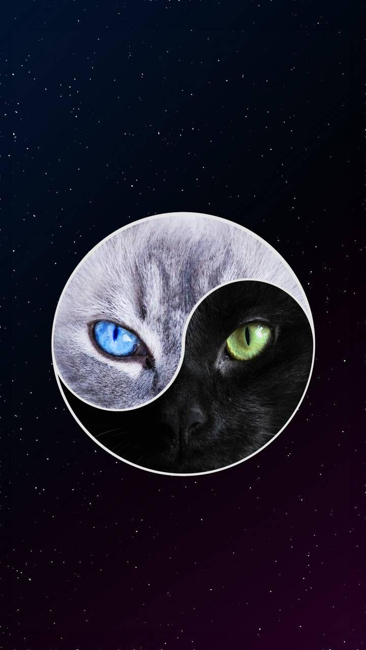 Anime Ying Yang Wallpapers - Top Free Anime Ying Yang Backgrounds ...