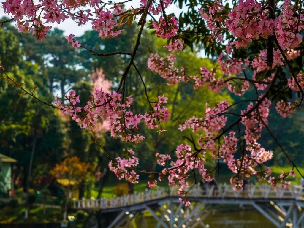 Shillong Wallpapers - Top Free Shillong Backgrounds - WallpaperAccess