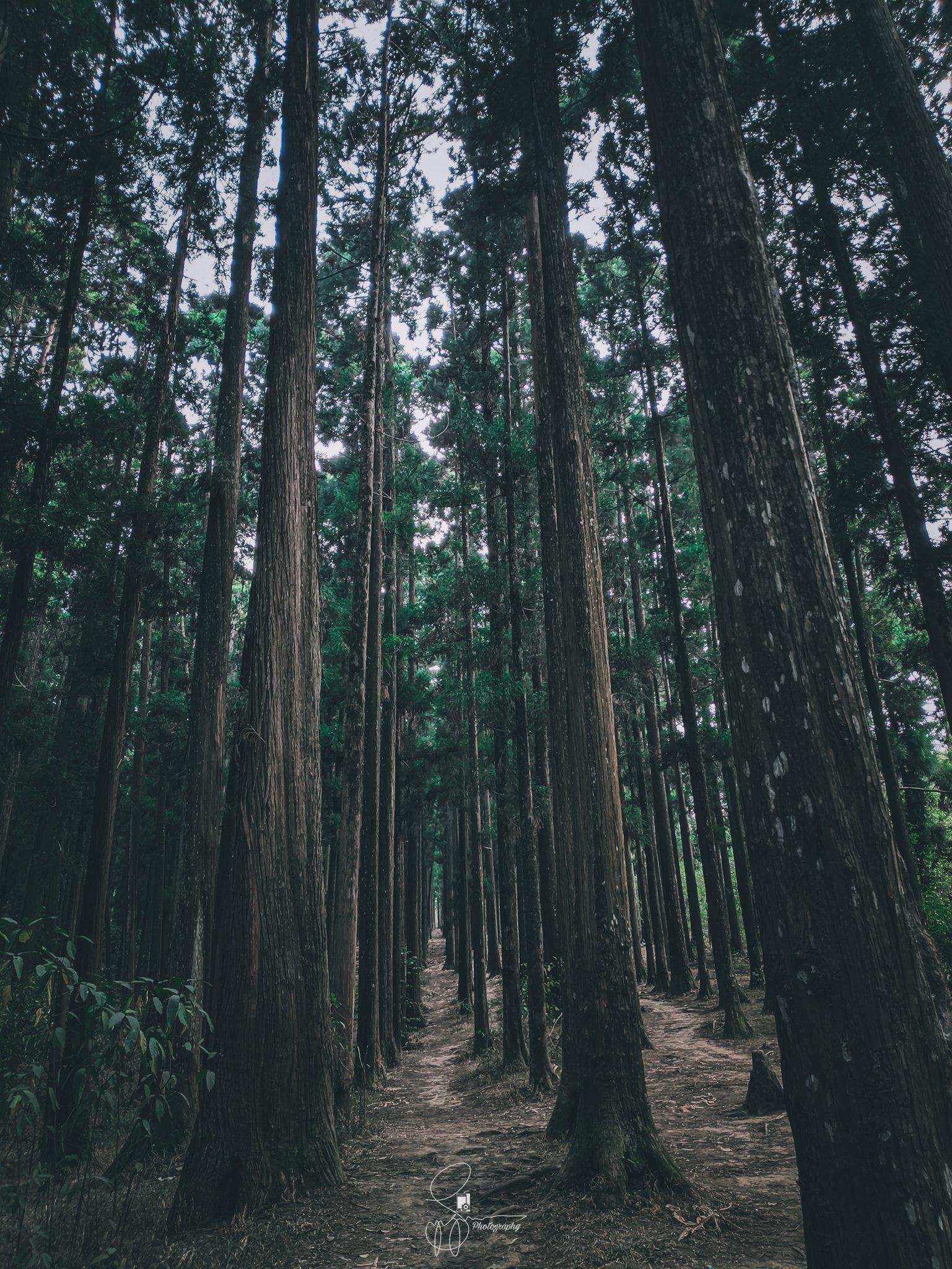 Shillong Wallpapers - Top Free Shillong Backgrounds - WallpaperAccess