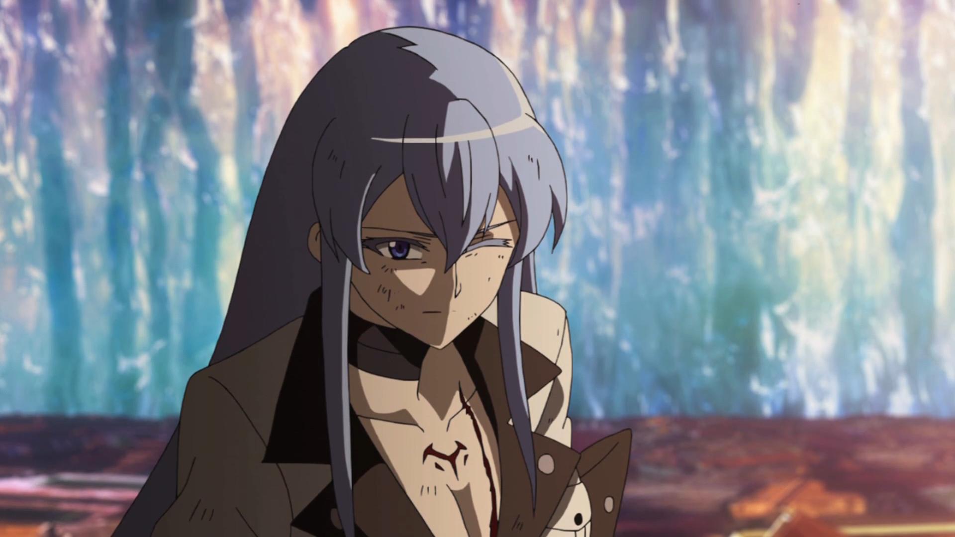 Akame Vs Esdeath Wallpapers - Top Free Akame Vs Esdeath Backgrounds ...