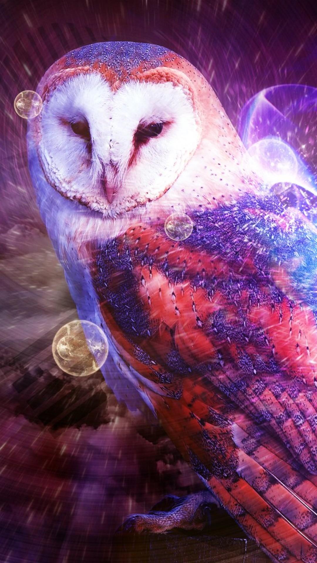 Owl Mobile Wallpapers - Top Free Owl Mobile Backgrounds - WallpaperAccess