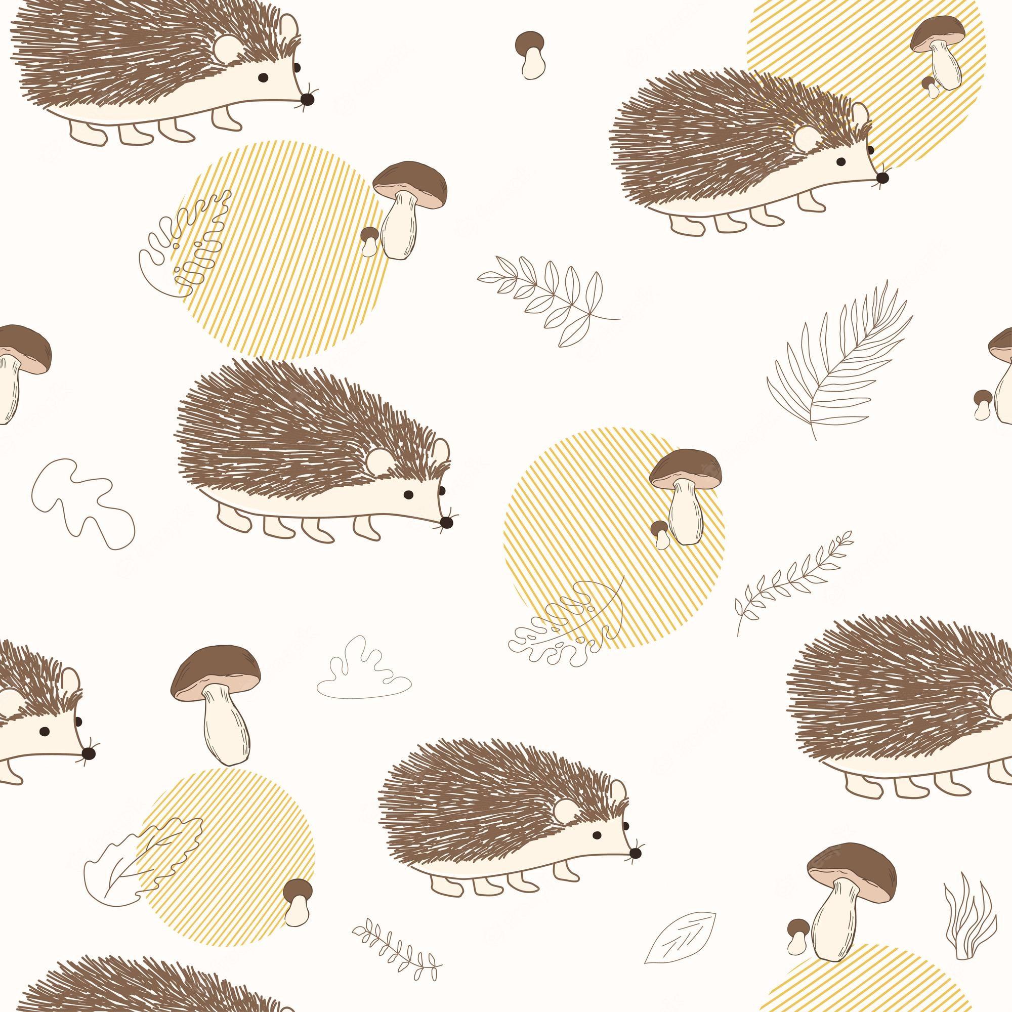 Cartoon Hedgehog Wallpapers Top Free Cartoon Hedgehog Backgrounds Wallpaperaccess