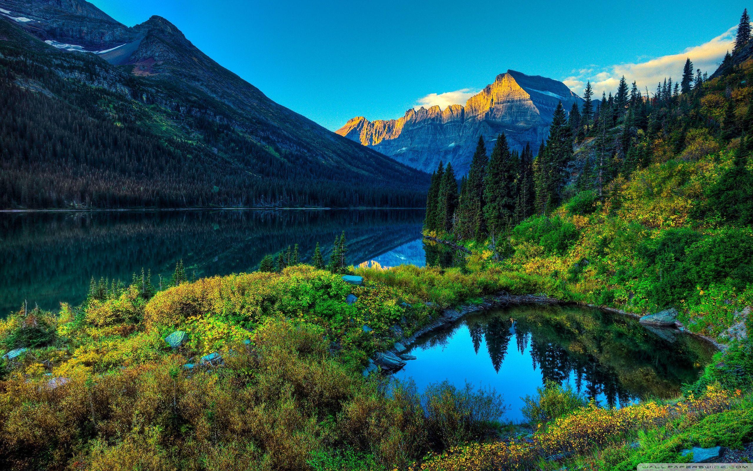 UHD Nature Wallpapers - Top Free UHD Nature Backgrounds - WallpaperAccess