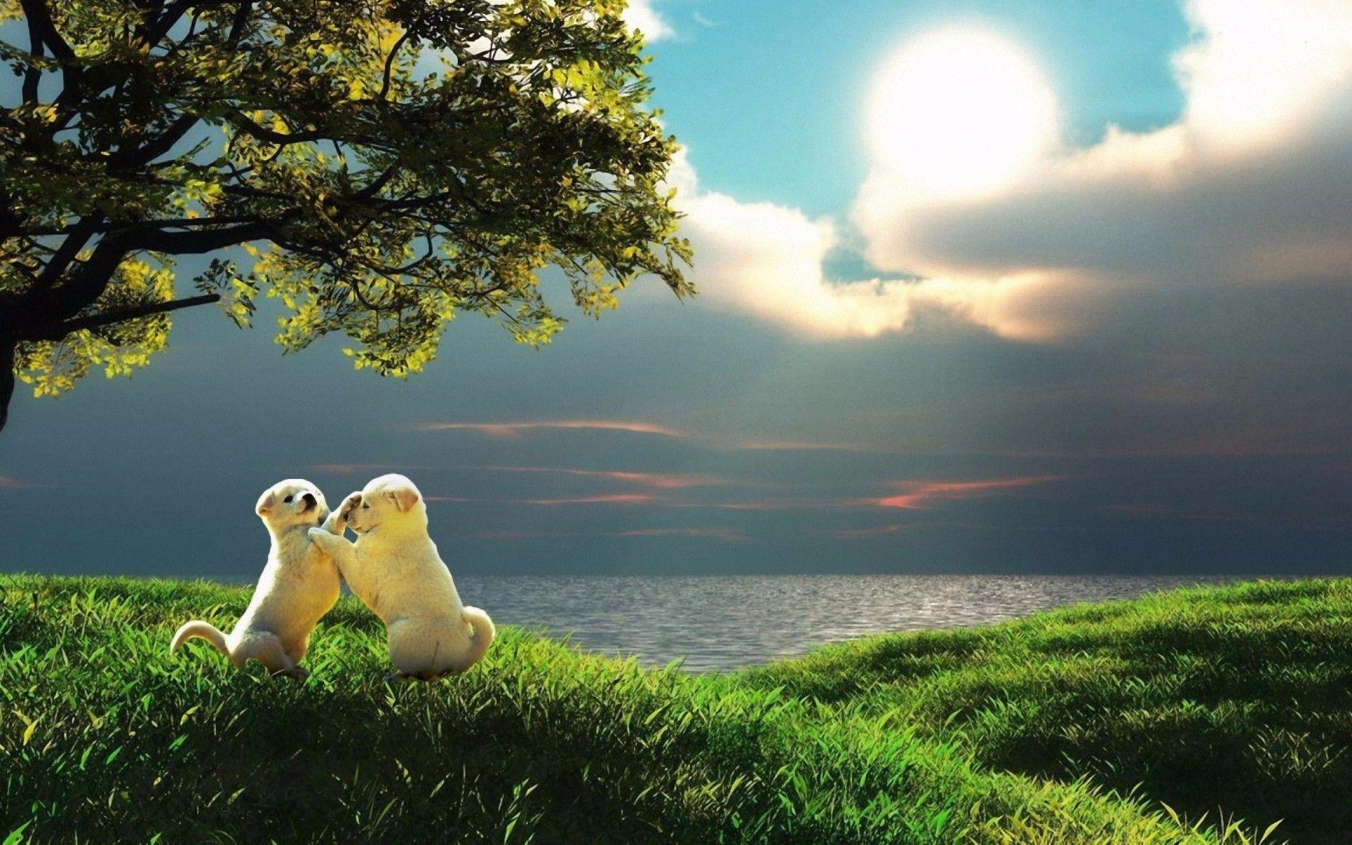 UHD 4K Nature Wallpapers - Top Free UHD 4K Nature Backgrounds ...