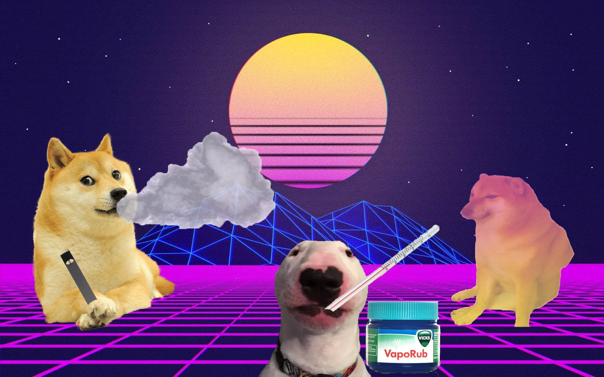 Doggo Meme Wallpapers - Top Free Doggo Meme Backgrounds - WallpaperAccess