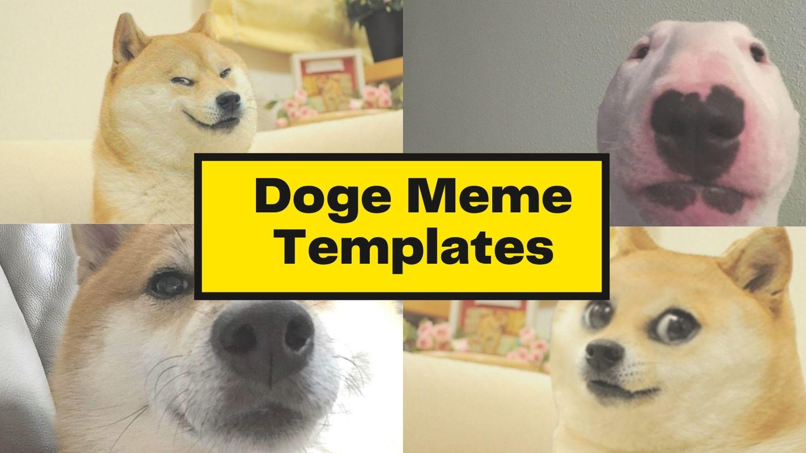 Doggo Meme Wallpapers - Top Free Doggo Meme Backgrounds - WallpaperAccess