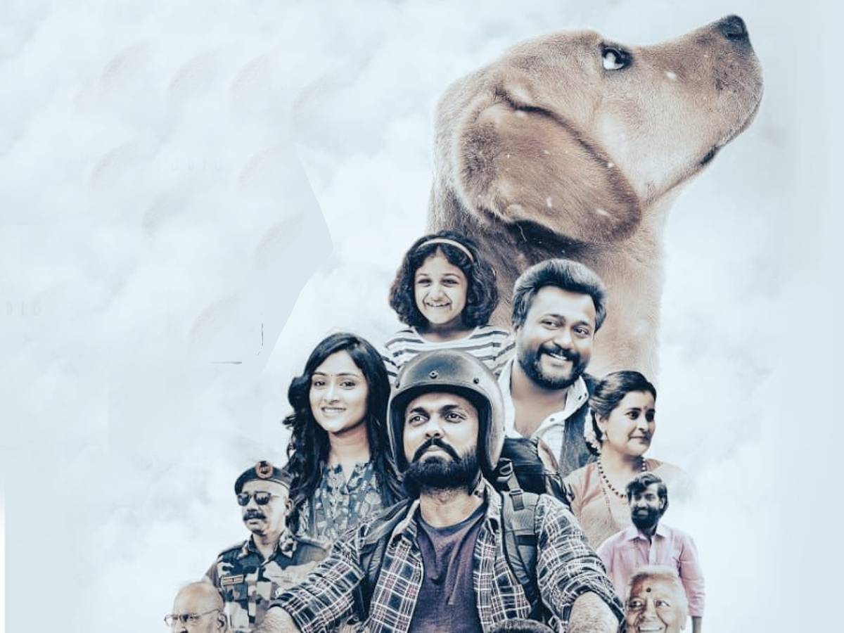 777 Charlie Wallpapers - Top Free 777 Charlie Backgrounds - WallpaperAccess