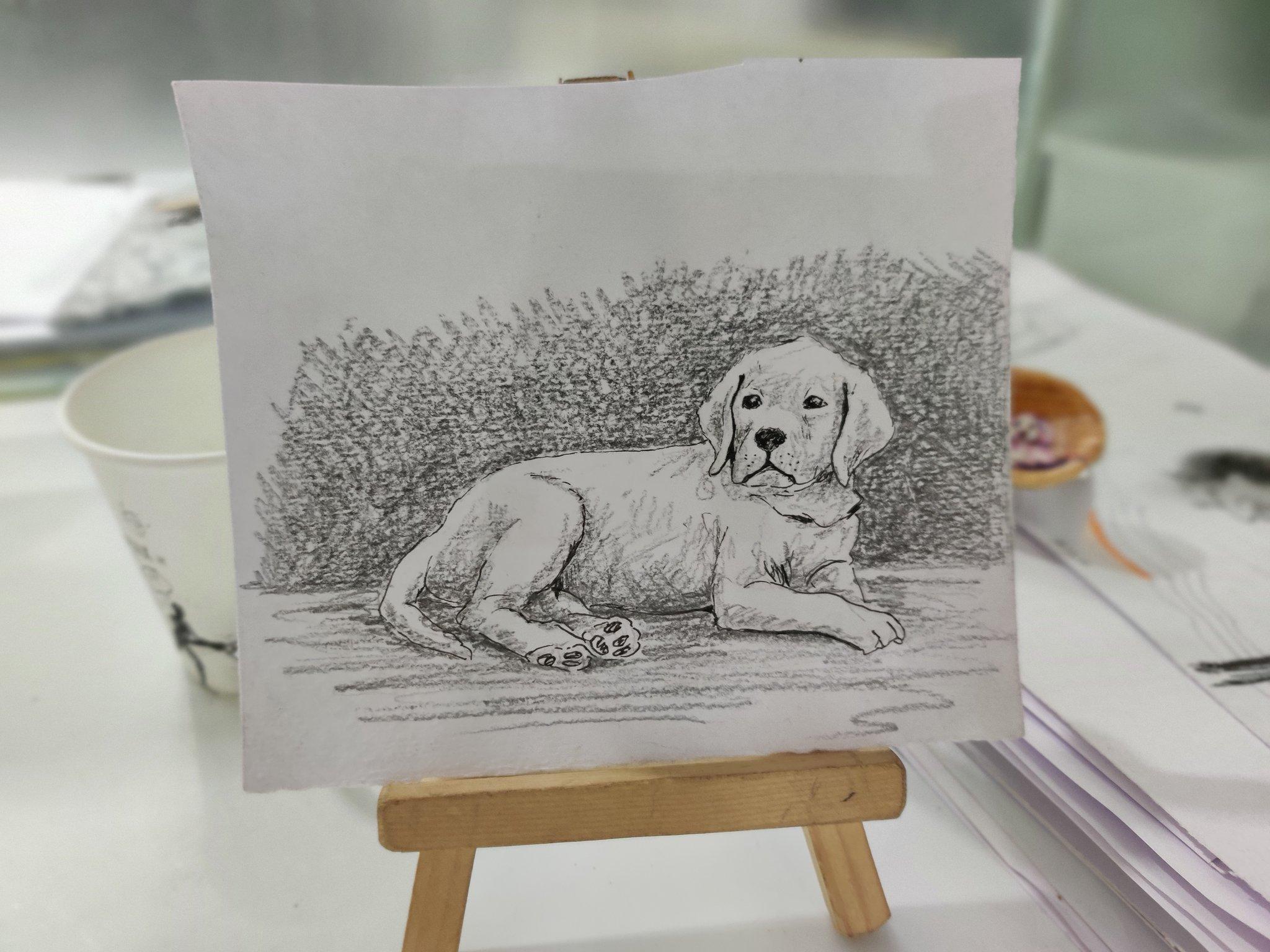 777 Charlie Wallpapers - Top Free 777 Charlie Backgrounds - WallpaperAccess