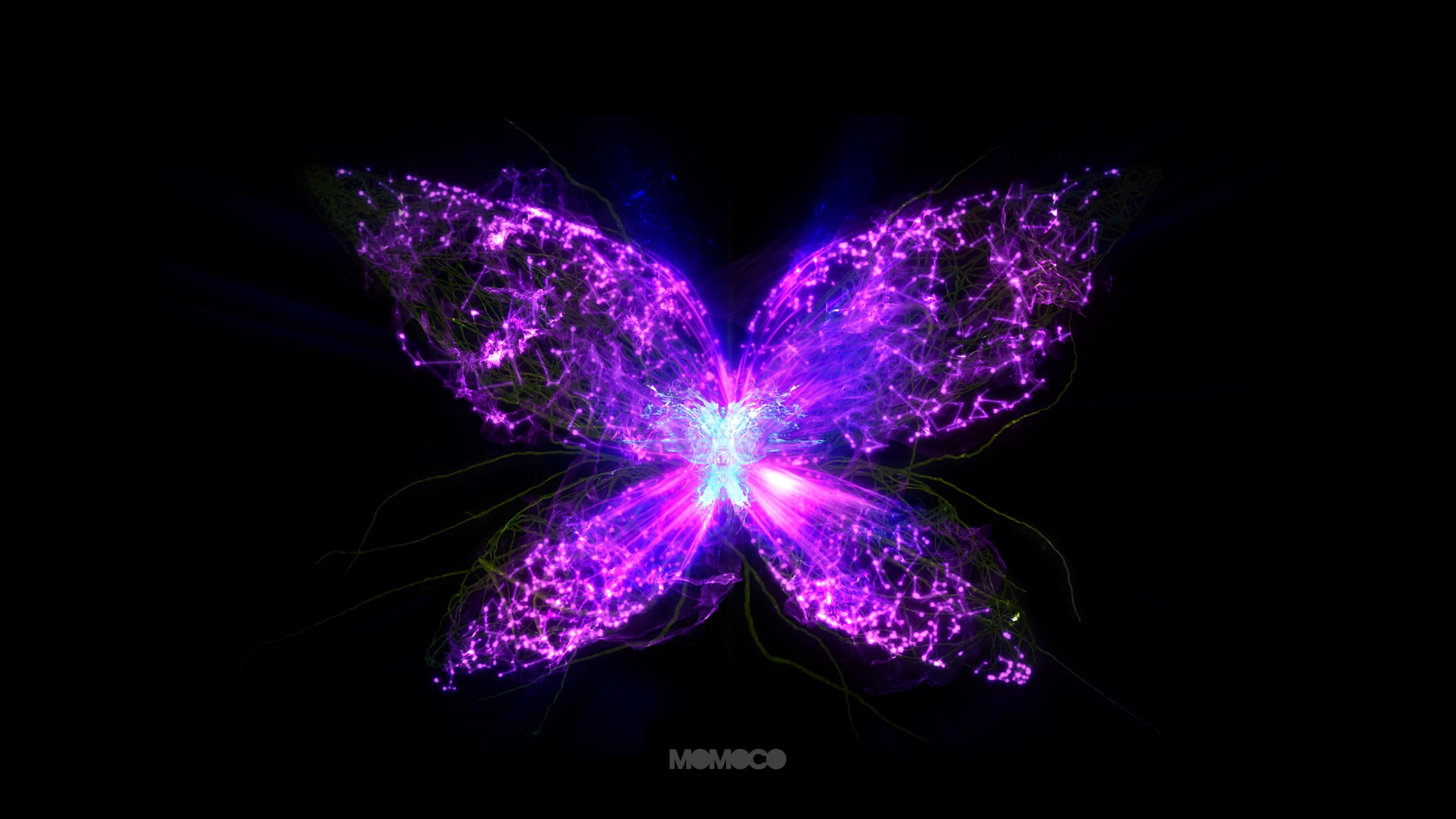 Fate The Winx Saga Wallpapers - Top Free Fate The Winx Saga Backgrounds ...