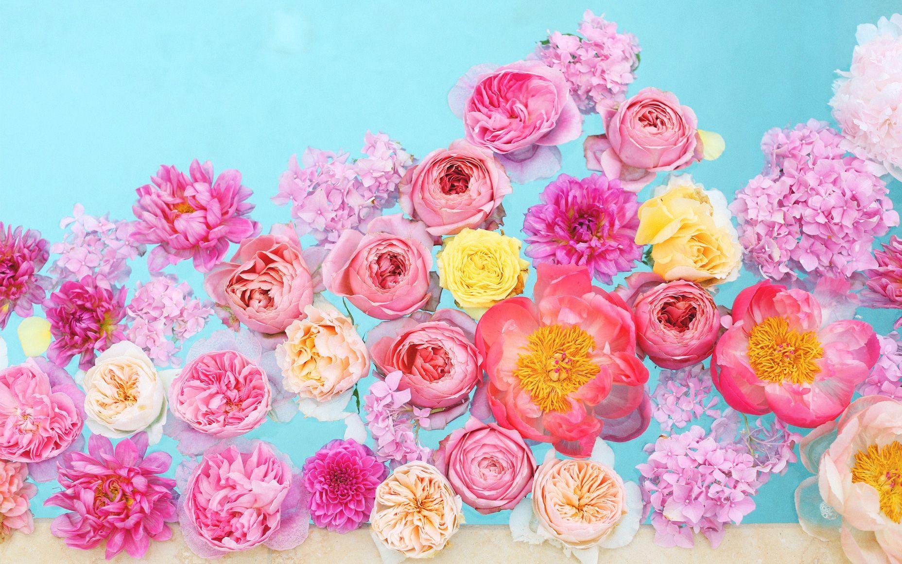 Pink Summer Flowers Desktop Wallpapers - Top Free Pink Summer Flowers ...