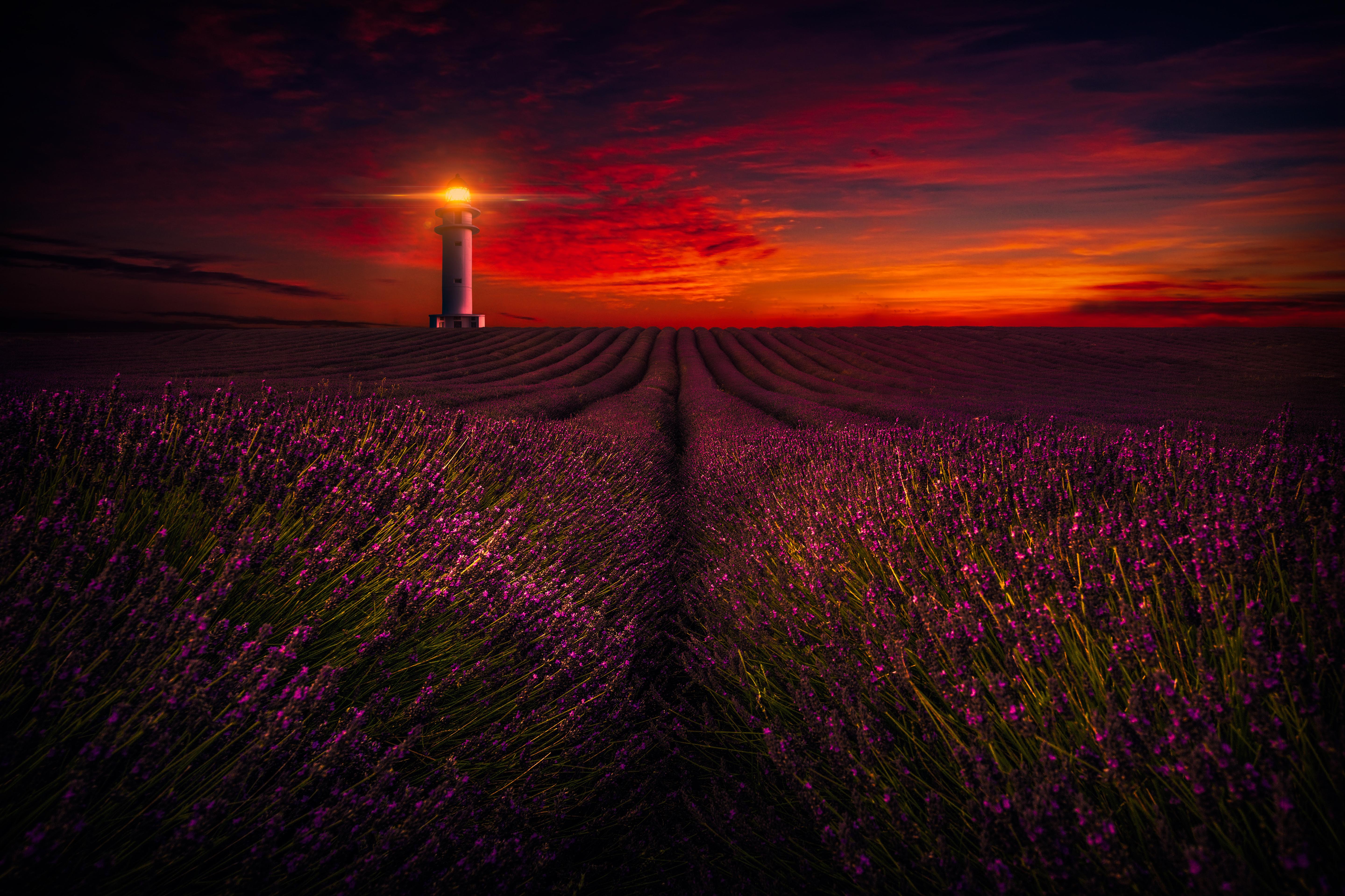 Sunset Lavender Field Wallpapers - Top Free Sunset Lavender Field ...