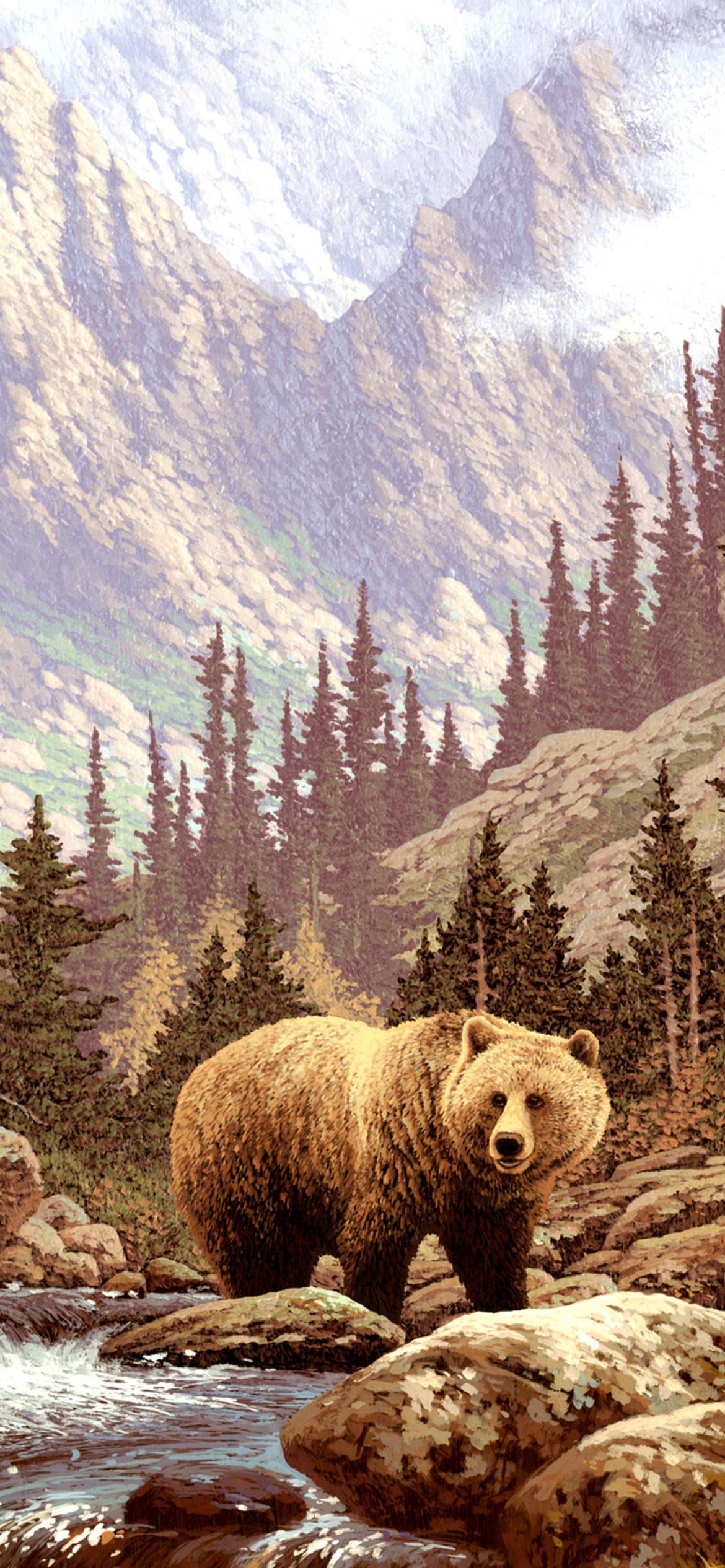 Brown Bear iPhone Wallpapers - Top Free Brown Bear iPhone Backgrounds ...