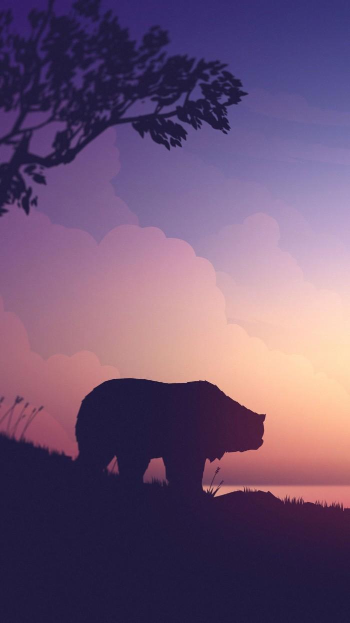 Brown Bear iPhone Wallpapers - Top Free Brown Bear iPhone Backgrounds ...