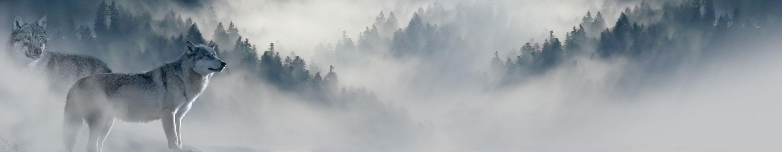 Dual Monitor Wolf Wallpapers - Top Free Dual Monitor Wolf Backgrounds ...