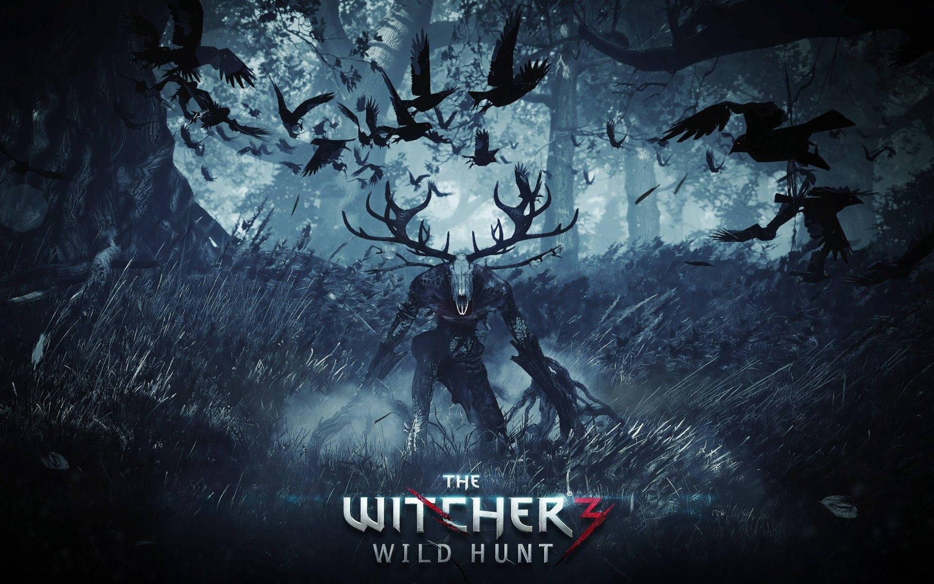 The Witcher 3 Logo Wallpapers - Top Free The Witcher 3 Logo Backgrounds ...