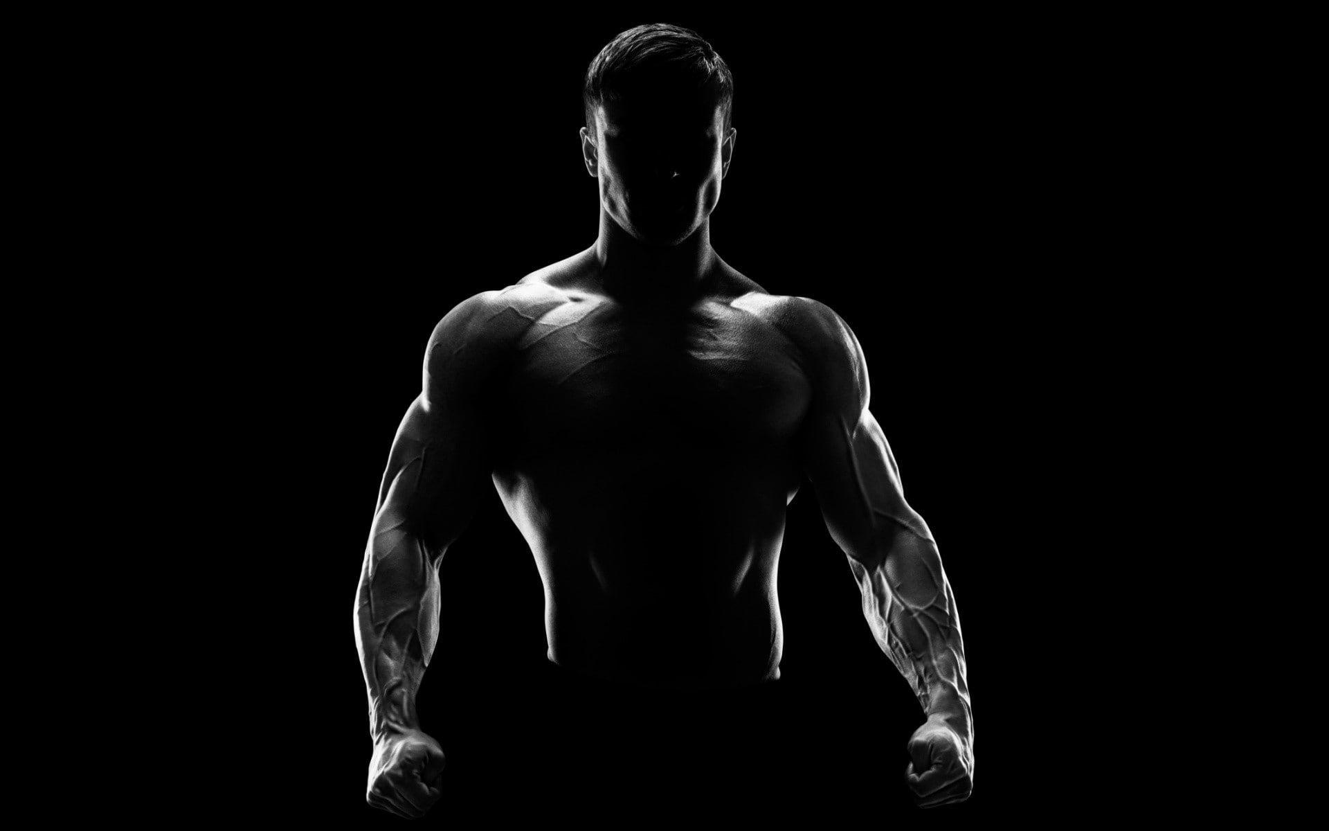 Muscular Body Wallpapers - Top Free Muscular Body Backgrounds ...