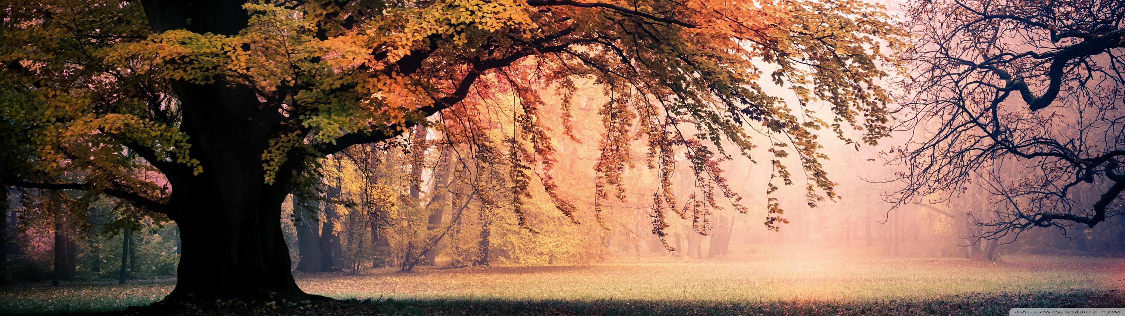 3840X1080 Autumn Wallpapers - Top Free 3840X1080 Autumn Backgrounds ...