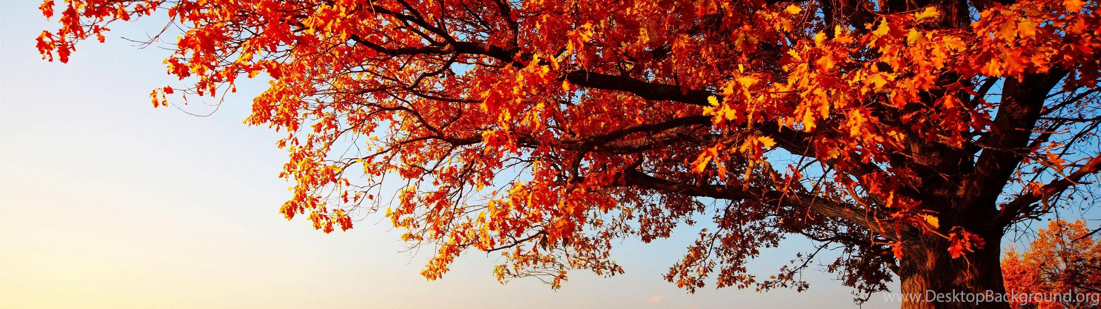 3840X1080 Autumn Wallpapers - Top Free 3840X1080 Autumn Backgrounds ...