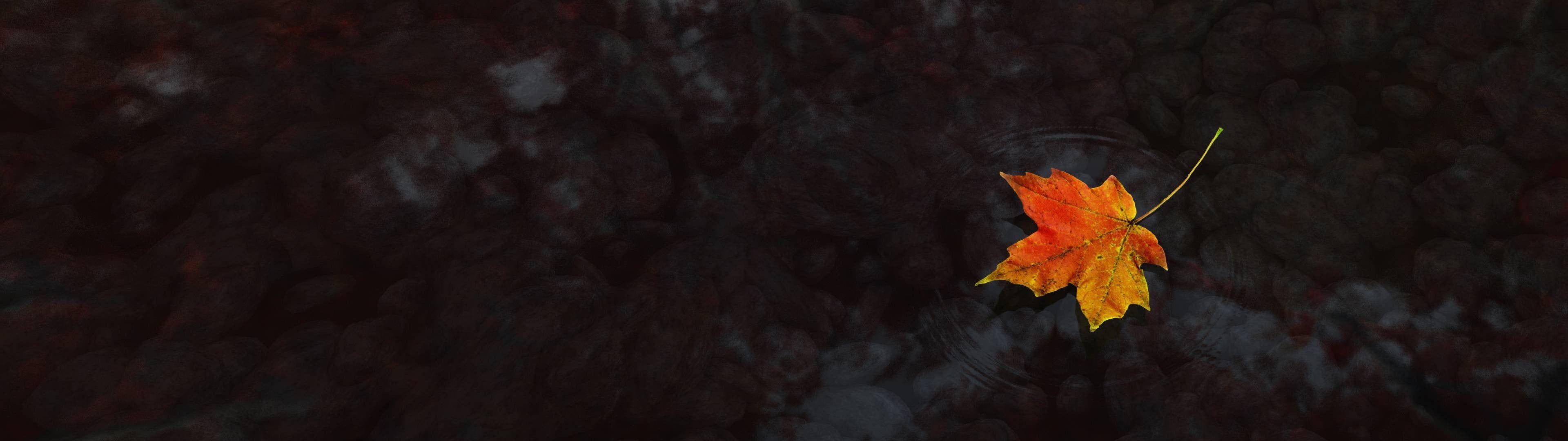 3840X1080 Autumn Wallpapers - Top Free 3840X1080 Autumn Backgrounds ...