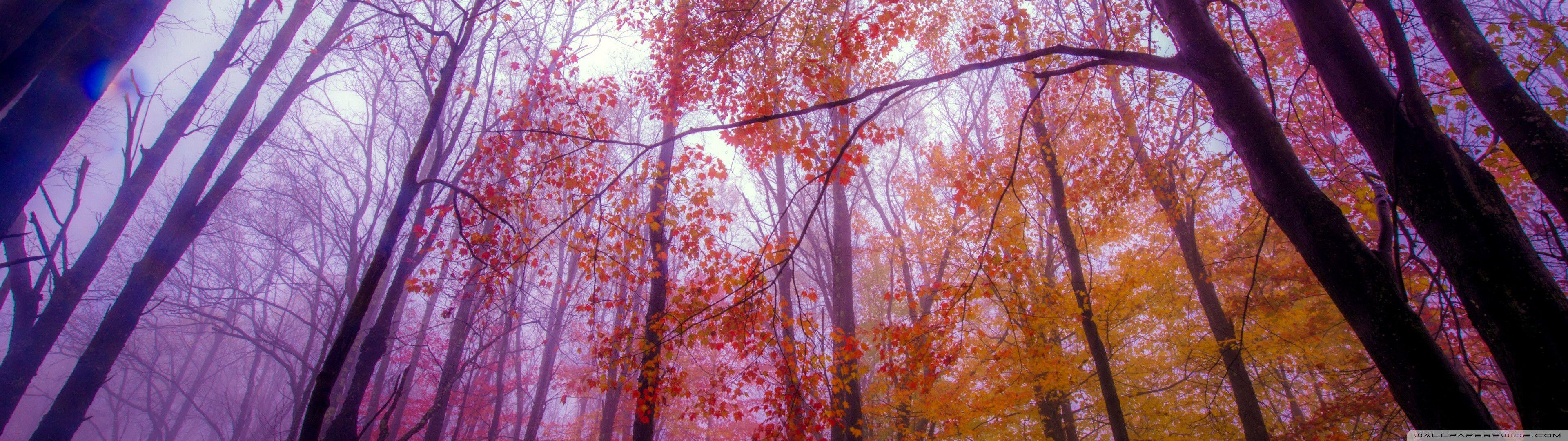 3840X1080 Autumn Wallpapers - Top Free 3840X1080 Autumn Backgrounds ...