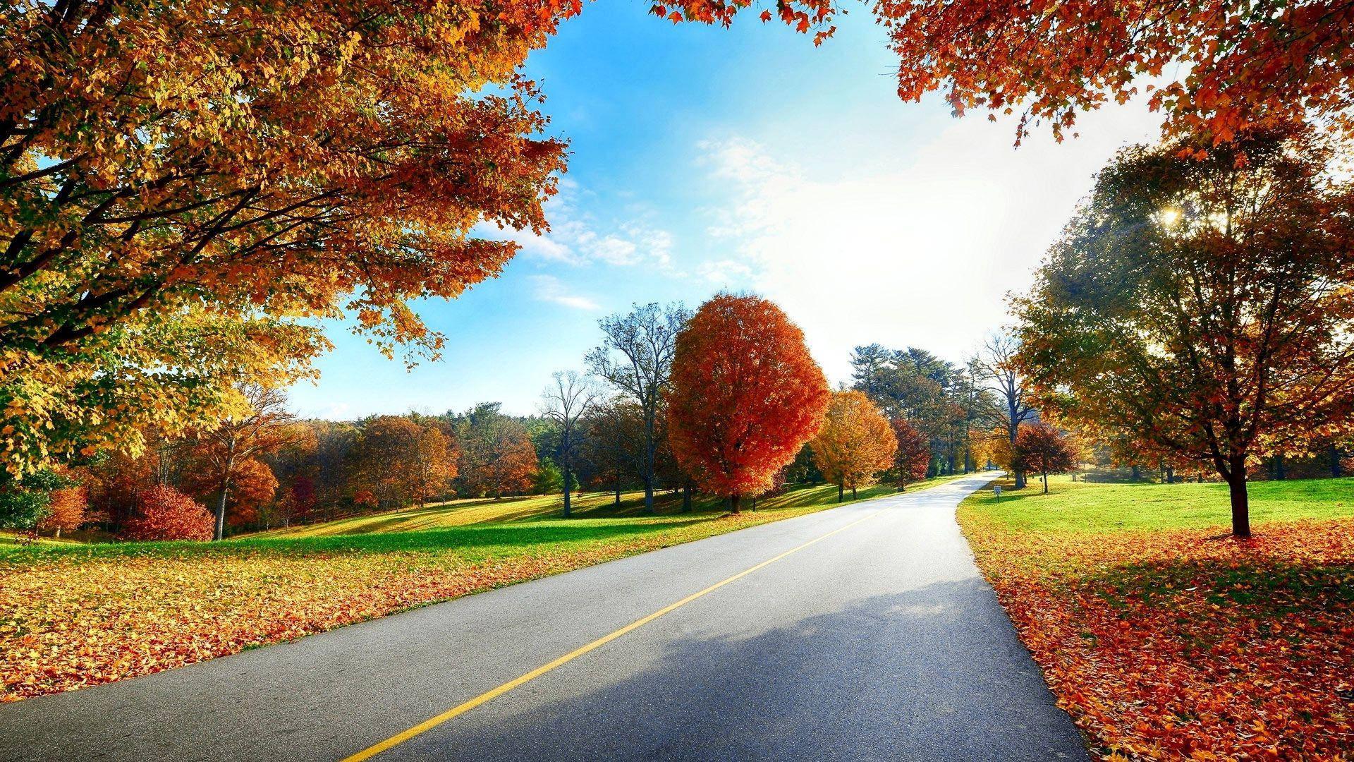 Road Landscape Wallpapers - Top Free Road Landscape Backgrounds ...