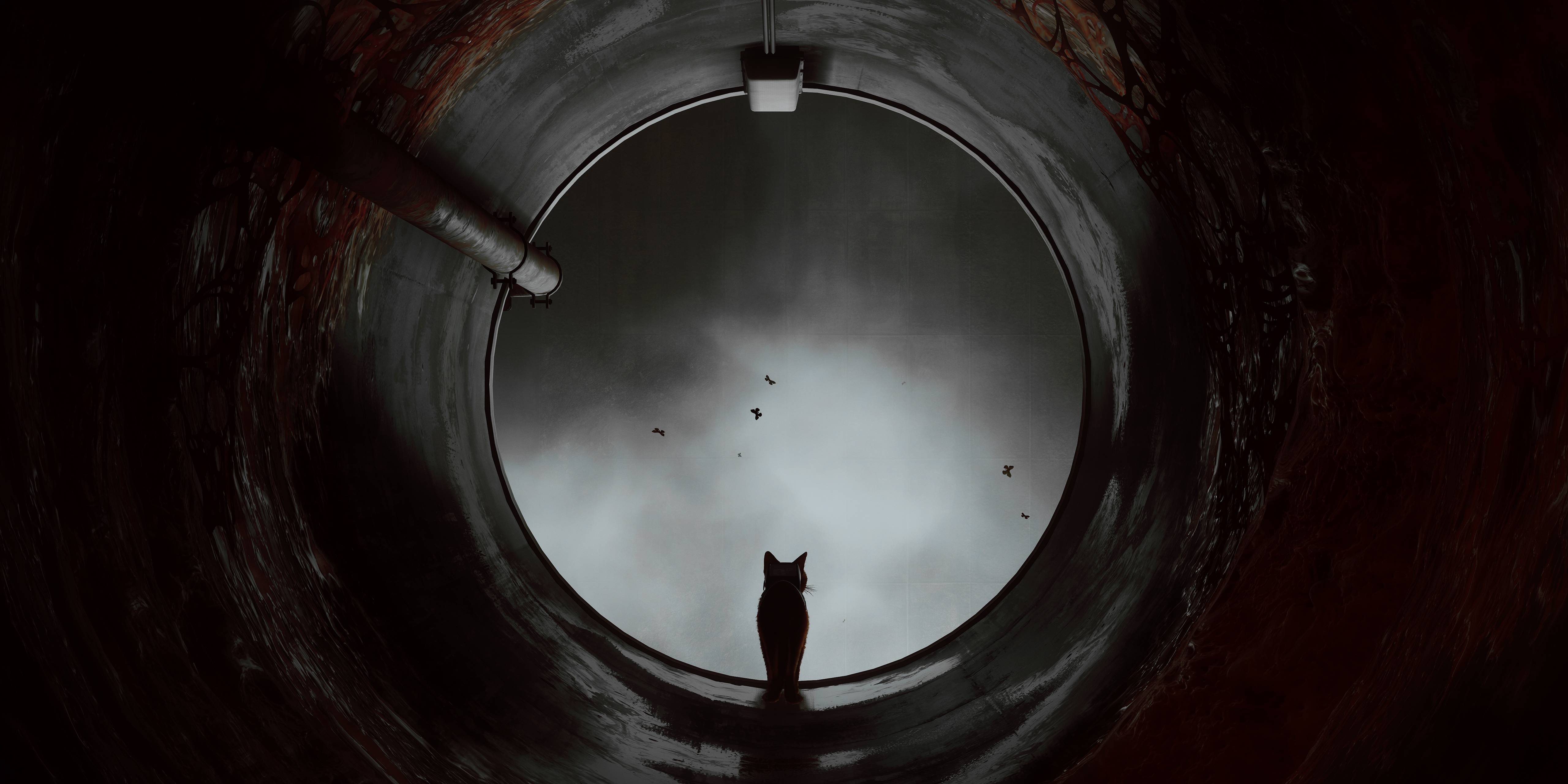 Stray Game Wallpapers - Top Free Stray Game Backgrounds - WallpaperAccess