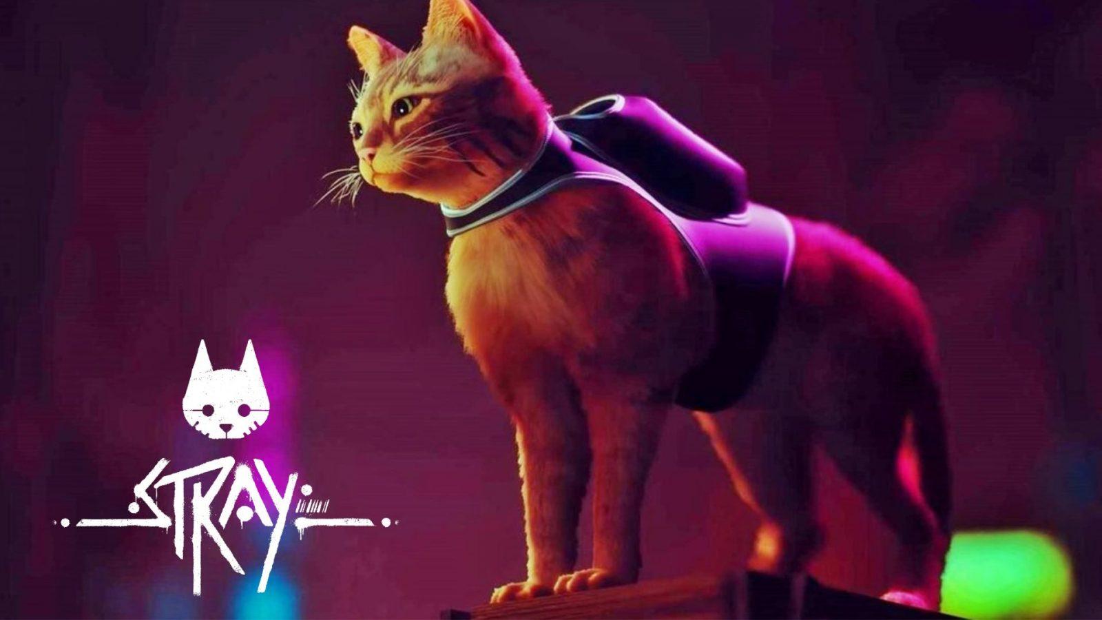Stray Game Wallpapers - Top Free Stray Game Backgrounds - WallpaperAccess
