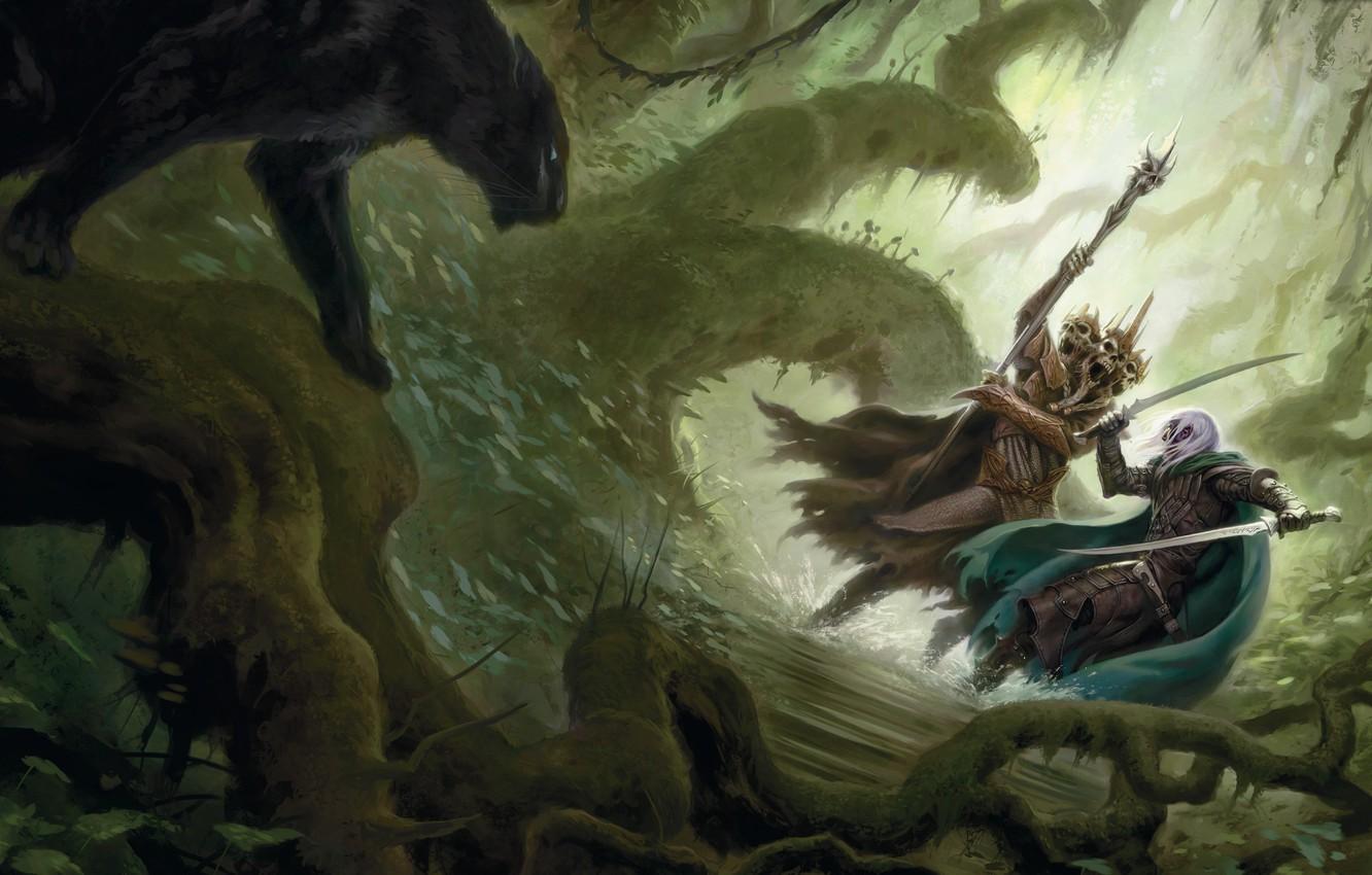 4K Dark Elf Wallpapers - Top Free 4K Dark Elf Backgrounds - WallpaperAccess