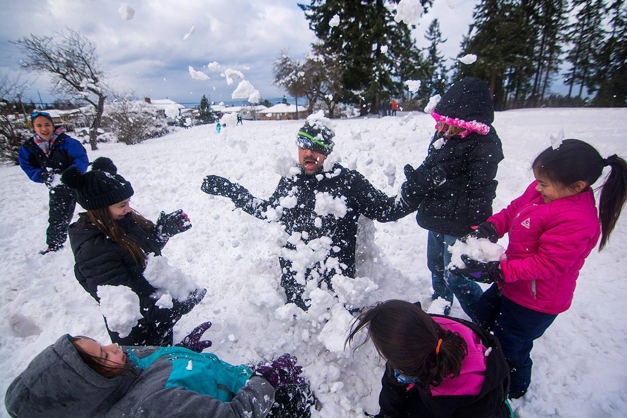 Snowball Fight Wallpapers - Top Free Snowball Fight Backgrounds ...