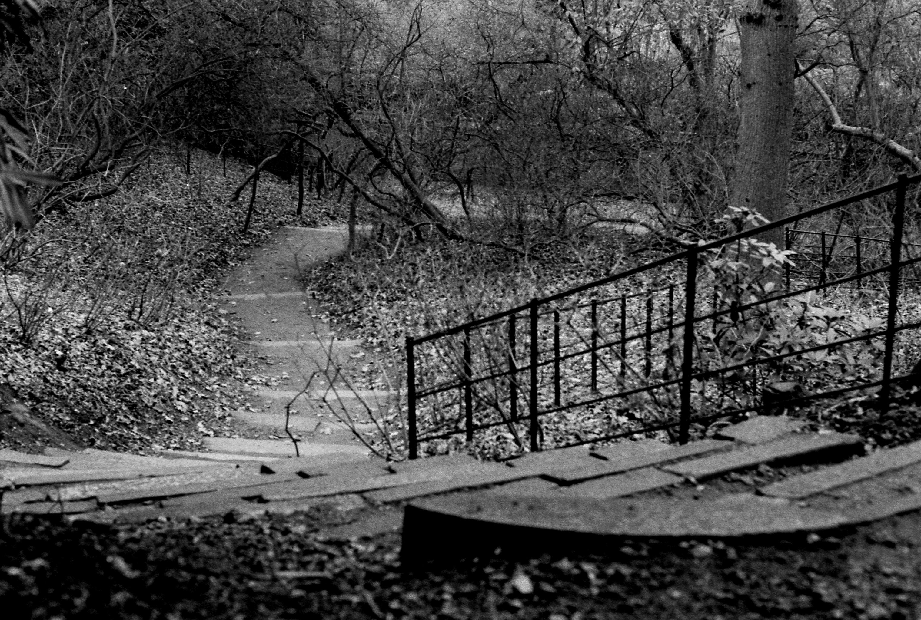 Black and White Winter Desktop Wallpapers - Top Free Black and White ...