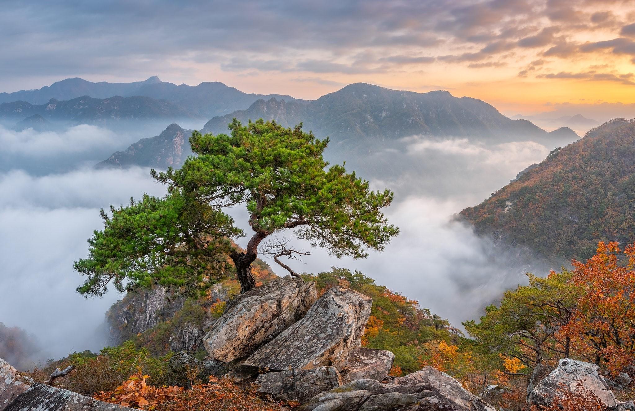 Seoul Landscape Wallpapers - Top Free Seoul Landscape Backgrounds ...