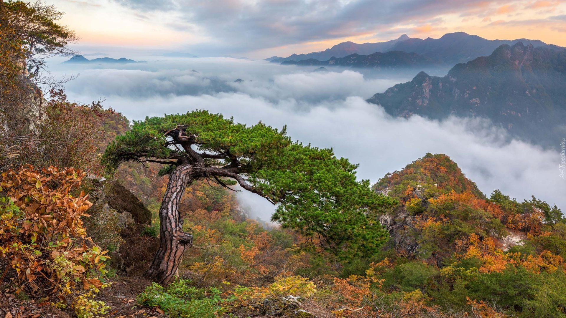 Seoul Landscape Wallpapers - Top Free Seoul Landscape Backgrounds ...