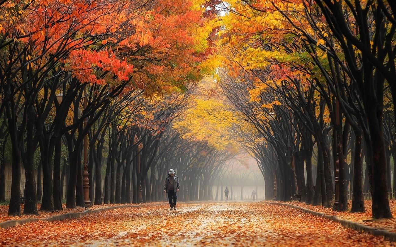 Seoul Landscape Wallpapers - Top Free Seoul Landscape Backgrounds ...