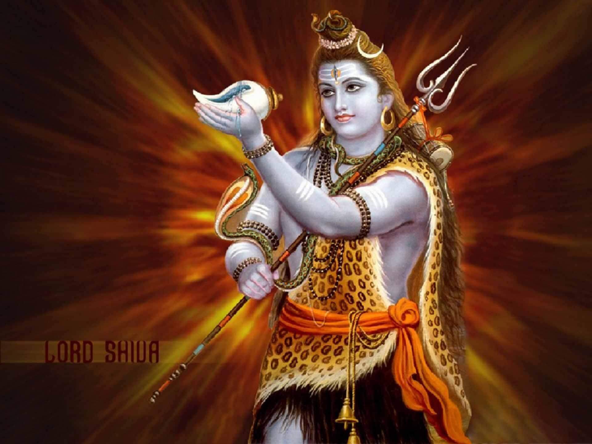 Shiv Sankar Wallpapers - Top Free Shiv Sankar Backgrounds - WallpaperAccess