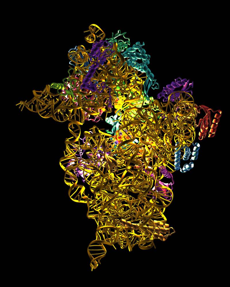 Ribosome Wallpapers - Top Free Ribosome Backgrounds - WallpaperAccess