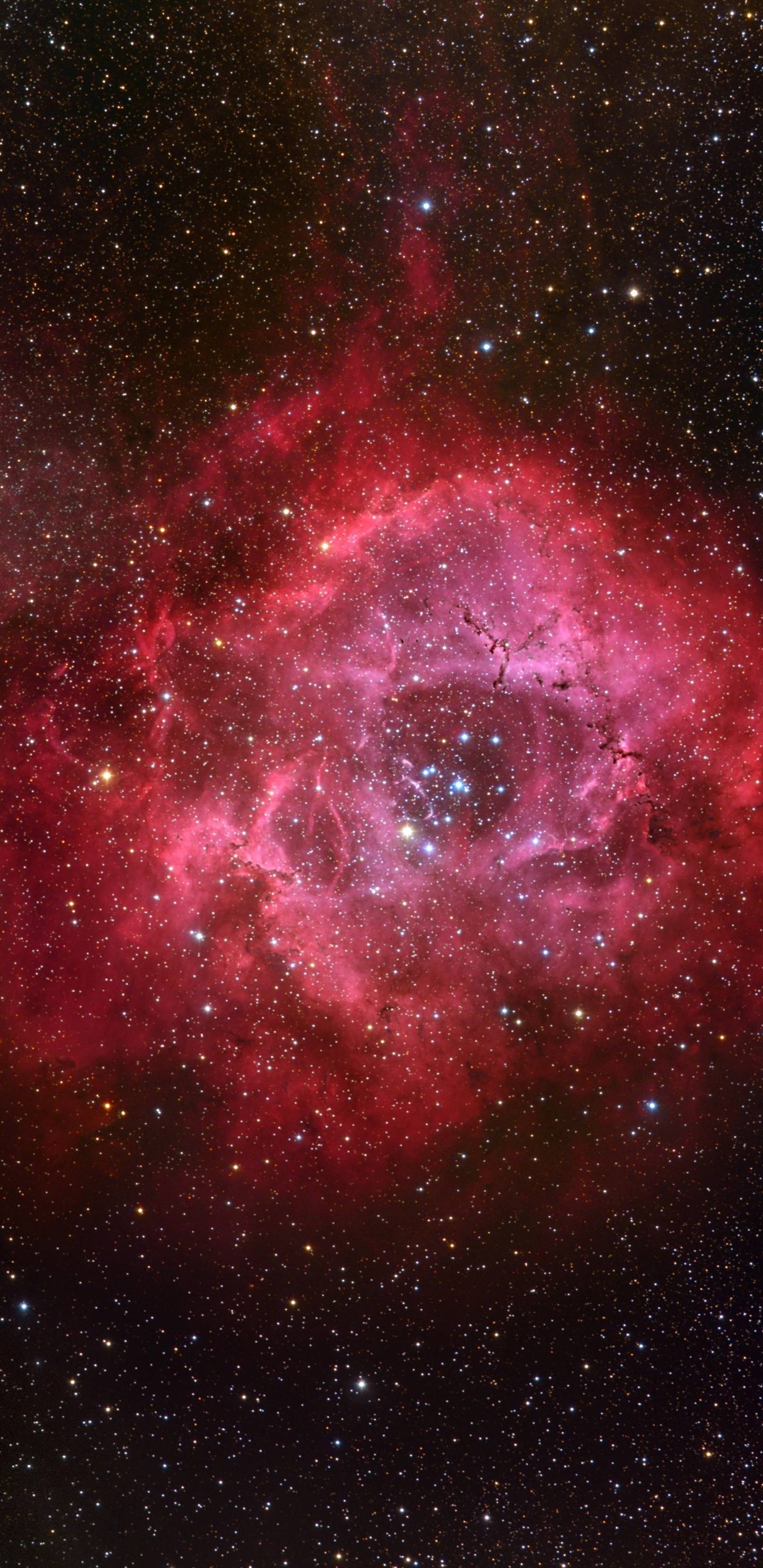 Samsung Galaxy Red Wallpapers - Top Free Samsung Galaxy Red Backgrounds ...