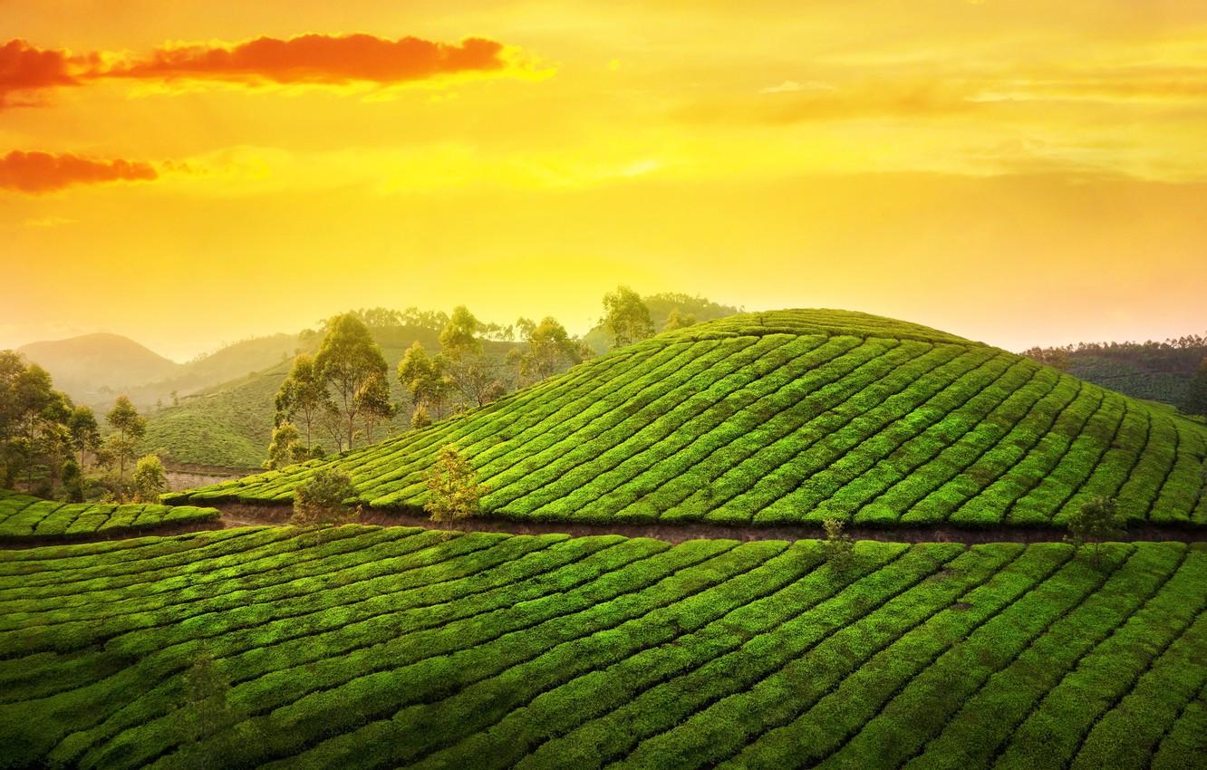 Kerala Landscape Wallpapers - Top Free Kerala Landscape Backgrounds ...