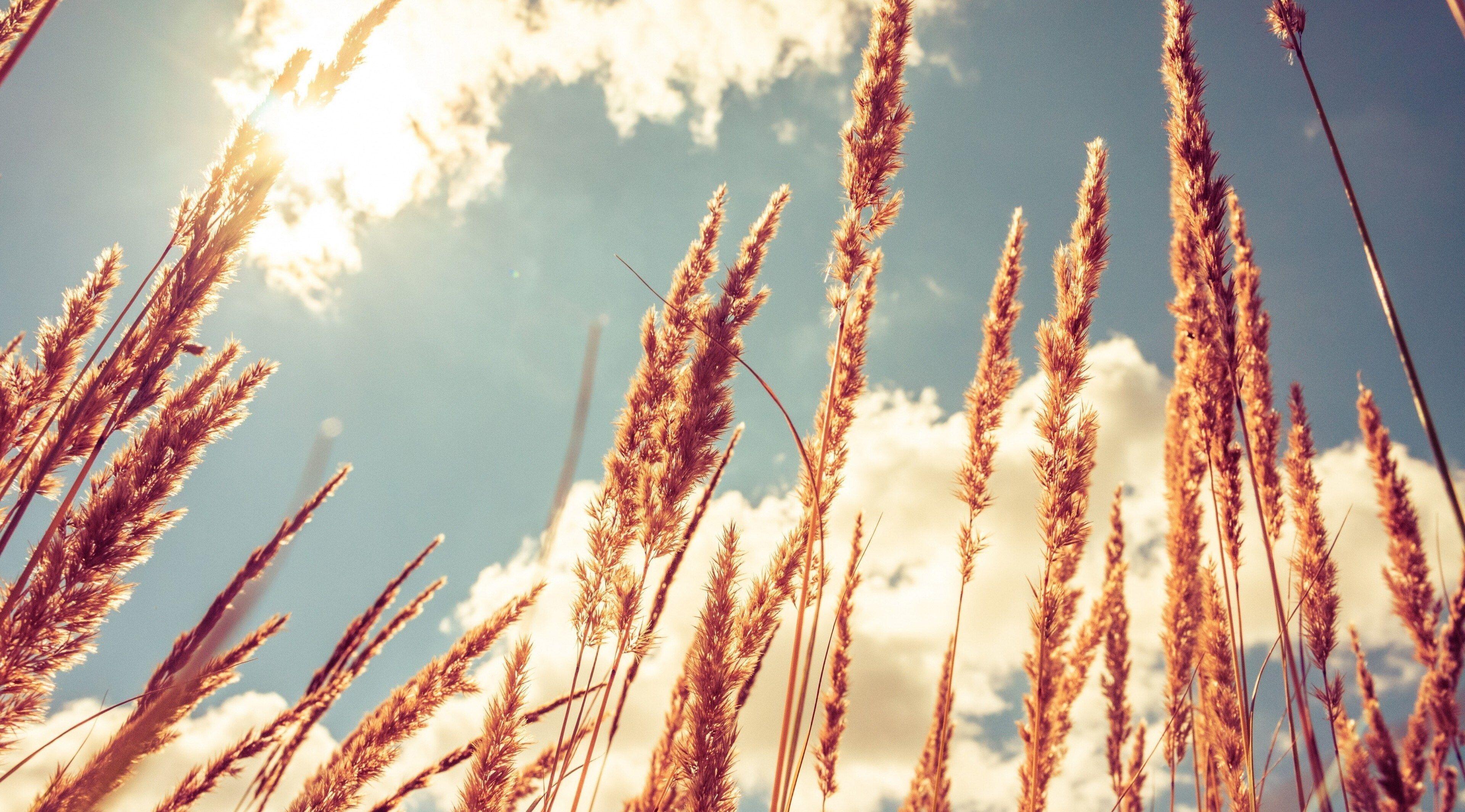 4K Boho Wallpapers - Top Free 4K Boho Backgrounds - WallpaperAccess