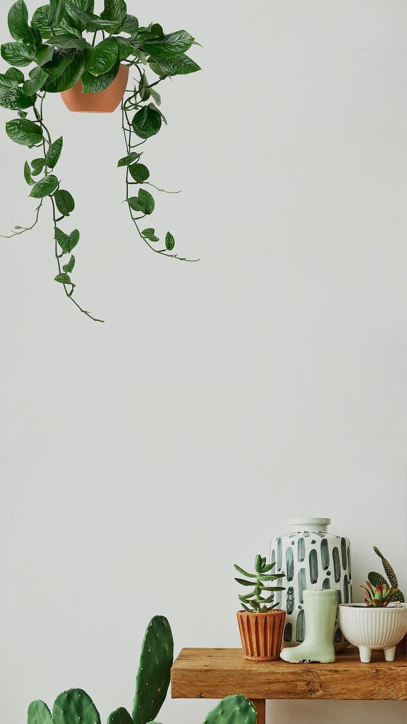 4K Boho Wallpapers - Top Free 4K Boho Backgrounds - WallpaperAccess