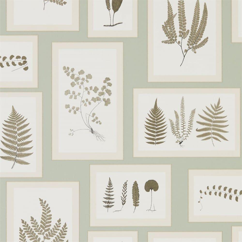 Blue Pine Wallpapers - Top Free Blue Pine Backgrounds - WallpaperAccess