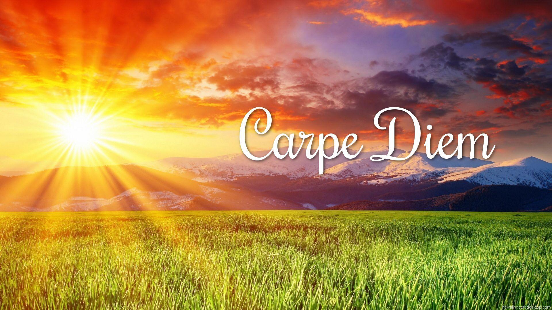 Carpe Diem Desktop Wallpapers - Top Free Carpe Diem Desktop Backgrounds ...