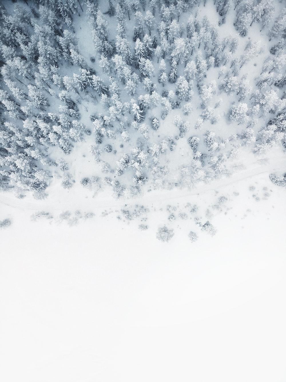 Simple Snow Wallpapers - Top Free Simple Snow Backgrounds - WallpaperAccess