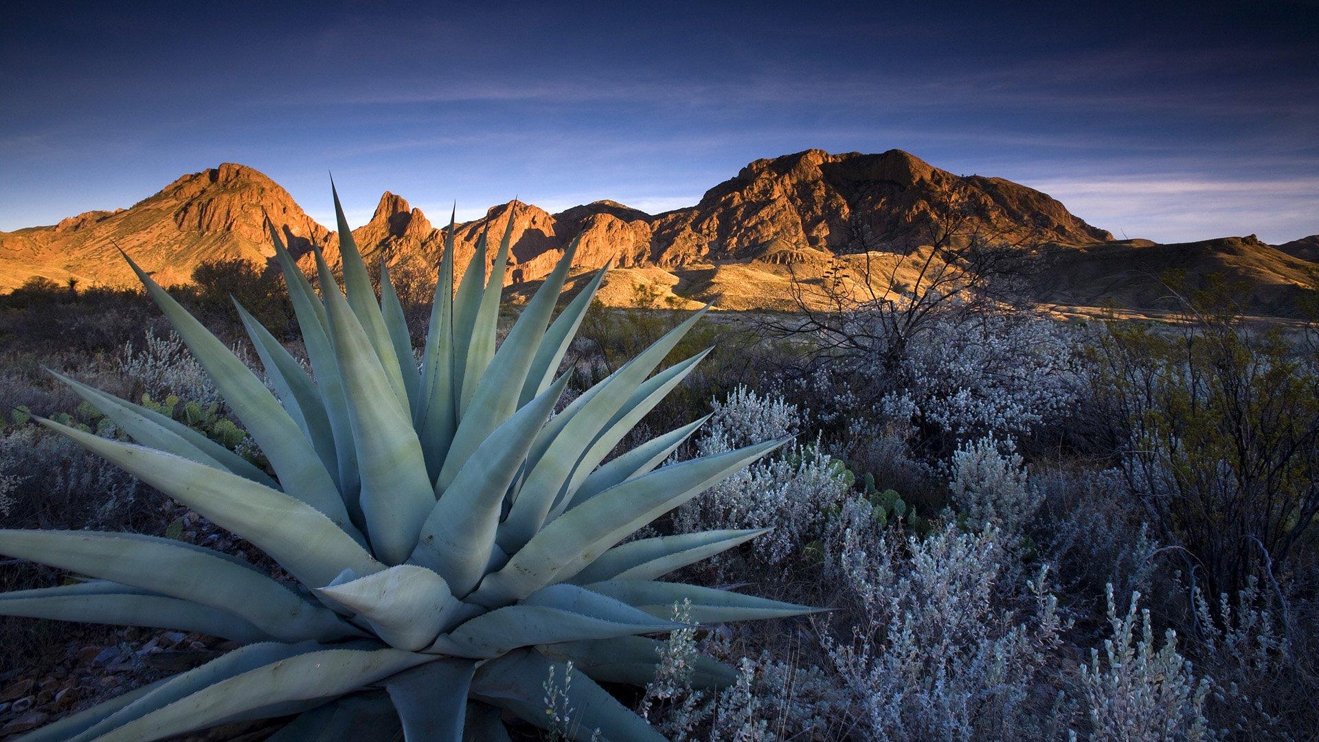 Big Bend Wallpapers - Top Free Big Bend Backgrounds - WallpaperAccess